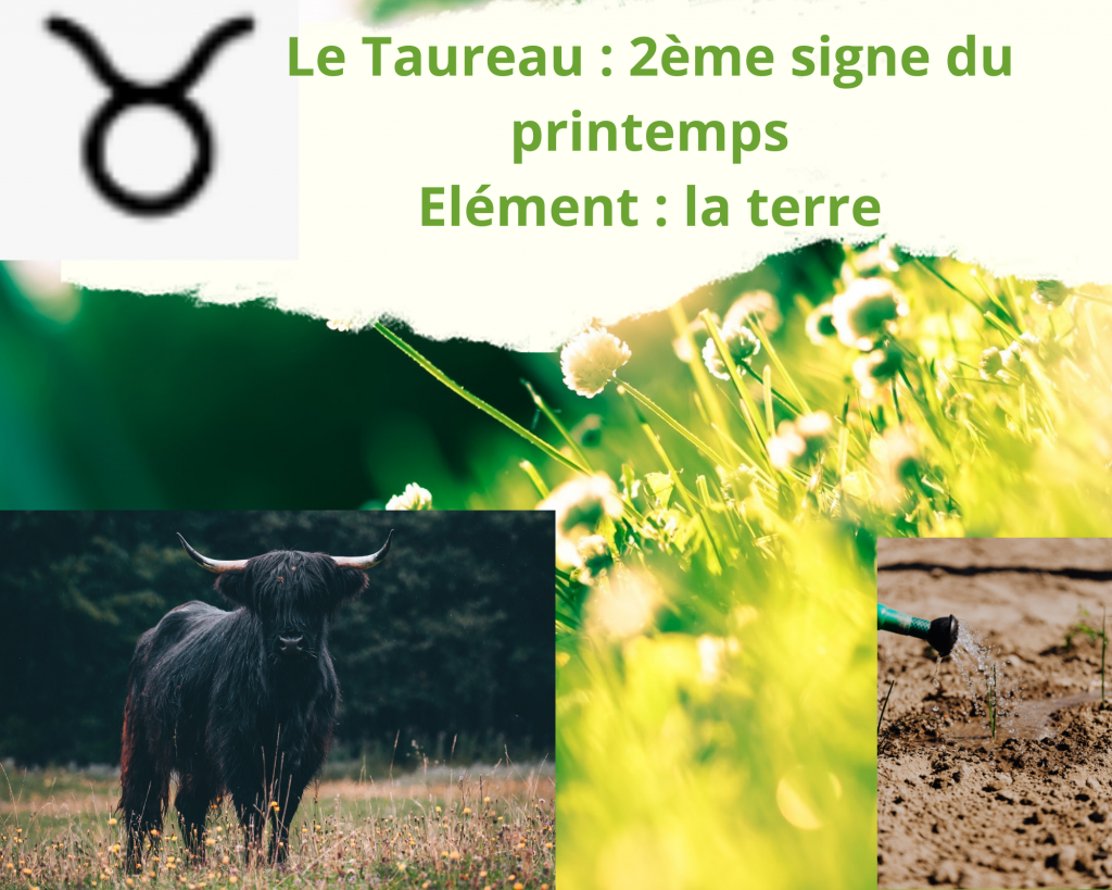 2 – Le signe astrologique du Taureau - Anne Le Pape - Astrologue Quimper