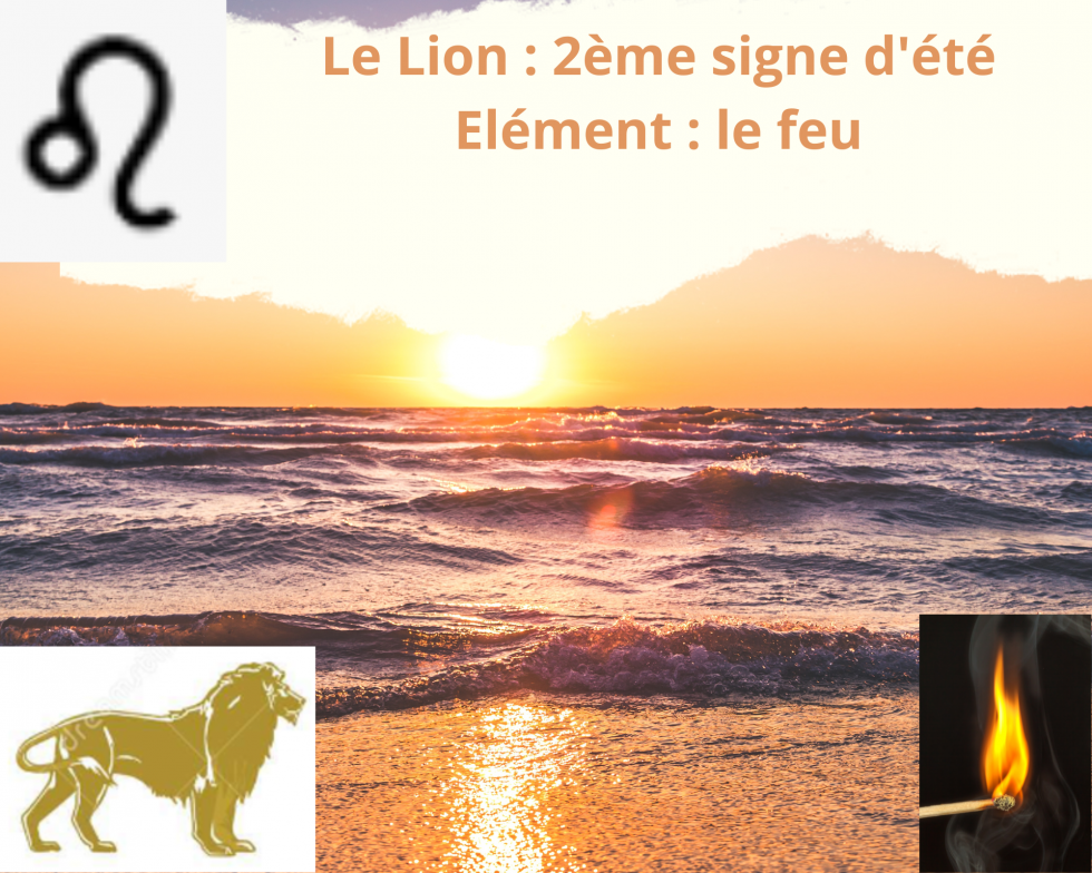 5 – Le signe astrologique du Lion - Anne Le Pape - Astrologue Quimper