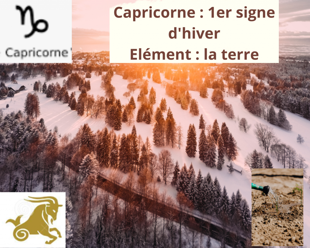 10 – Le signe astrologique du Capricorne - Anne Le Pape - Astrologue ...