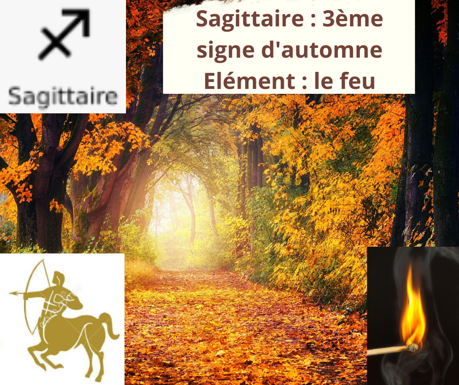 9 – Le signe astrologique du Sagittaire - Anne Le Pape - Astrologue Quimper